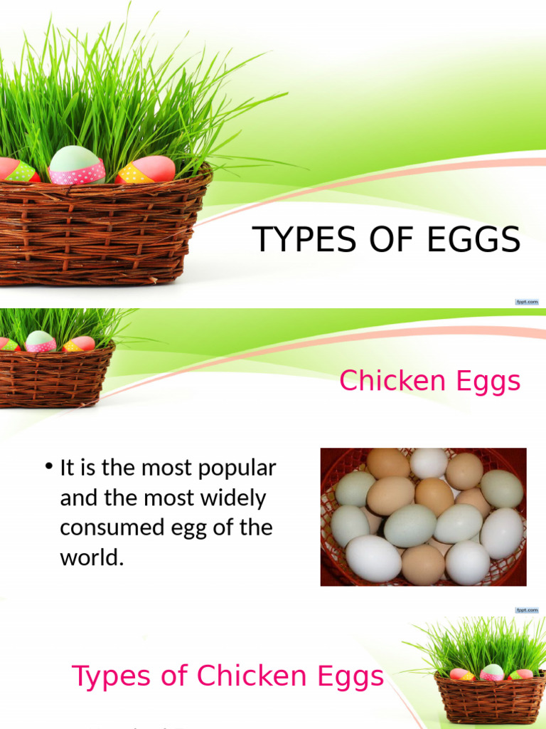 Types of An Egg | PDF | Chicken | Egg