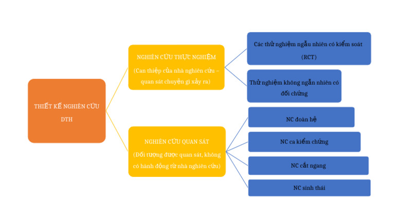 Nghiêncuthcnghim (Canthipcanhànghiêncu - Quan Sát Chuy N Gì X y Ra) | PDF