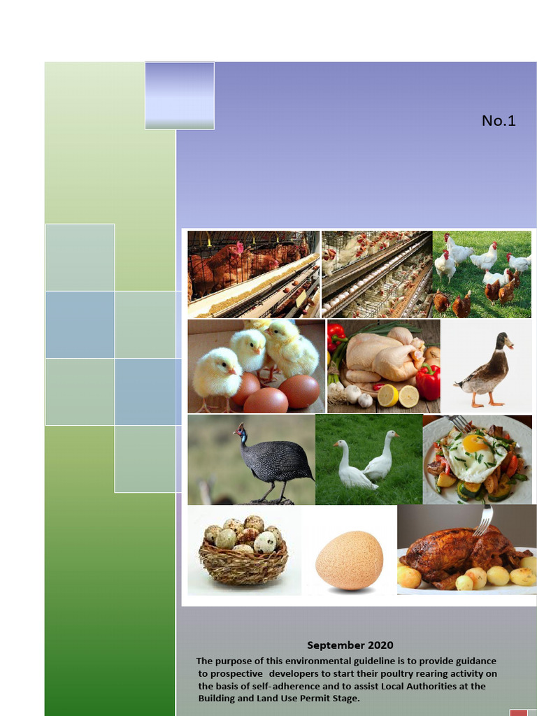 Environmental Guidelines for Poultry Rearing | PDF | Poultry | Poultry ...