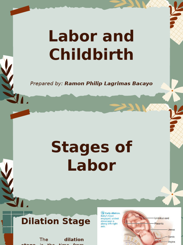 Labor and Childbirth Edited | PDF | Childbirth | Uterus