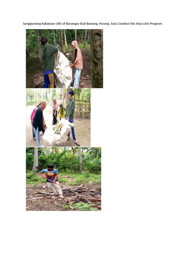 Alay Linis Picture | PDF