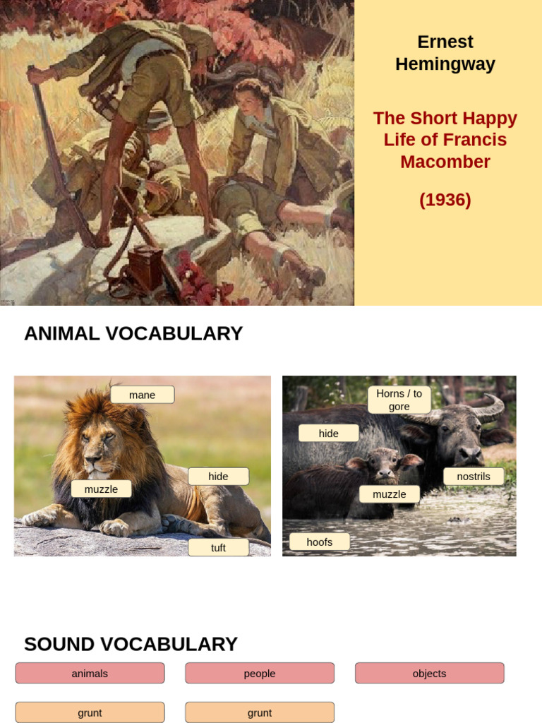 The Short Life of Francis Macomber | PDF | Linguistics