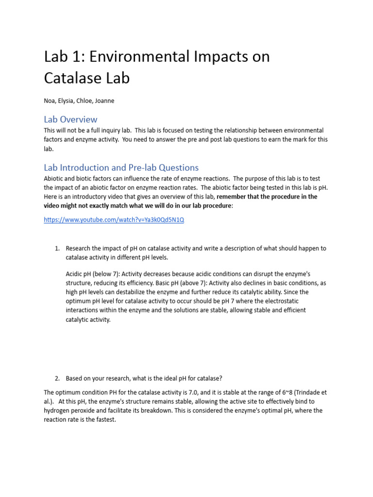 Noa, Joanne, Chloe, Elysia - Lab 1 - Enzyme Lab | PDF | Catalase | Enzyme