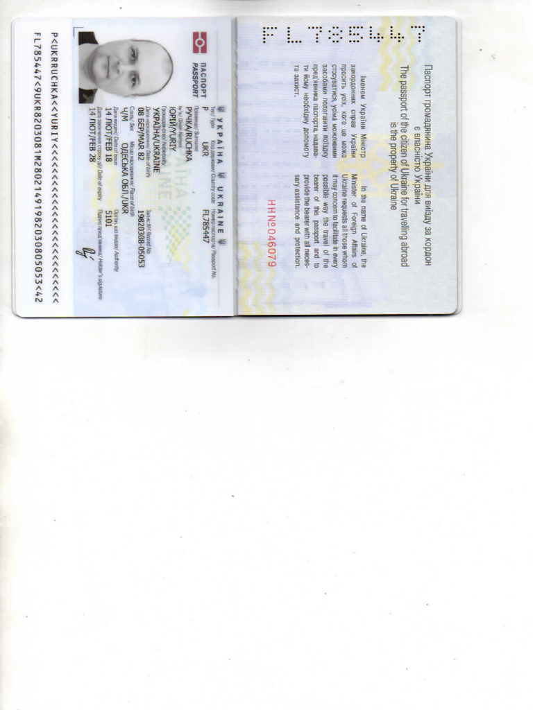 Biometric Passport | PDF