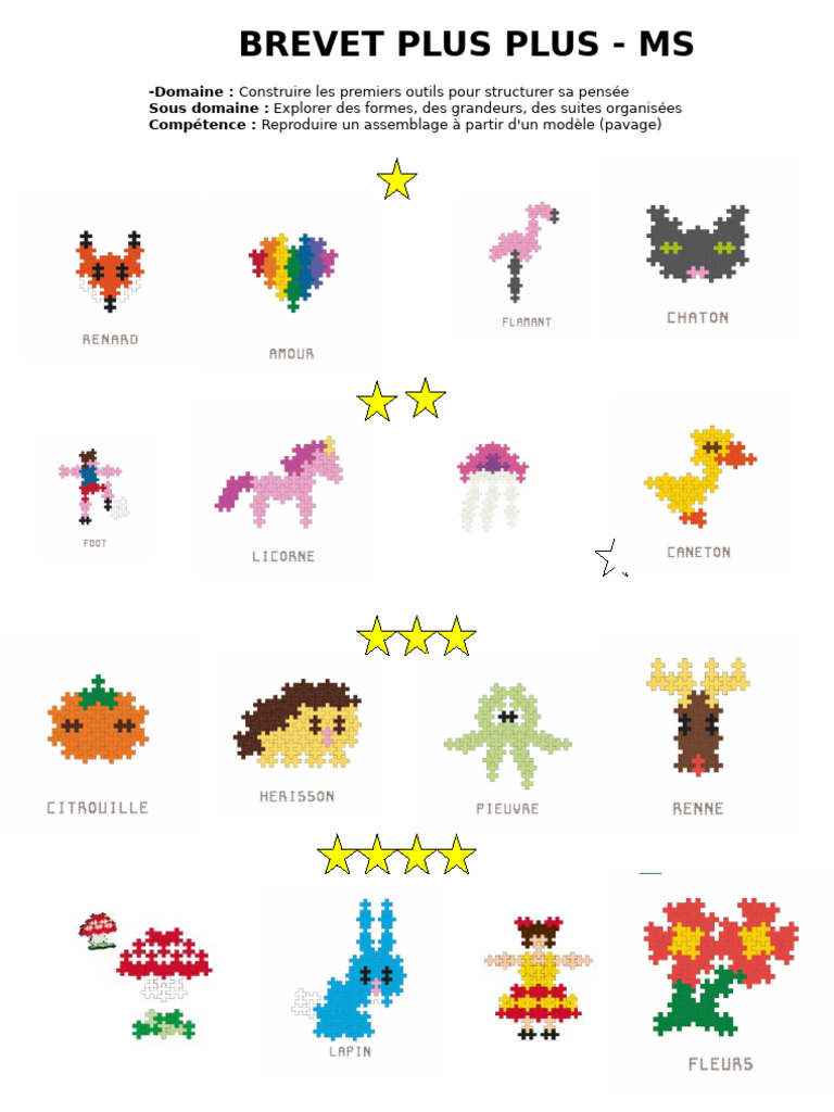 Brevet Plus Plus | PDF