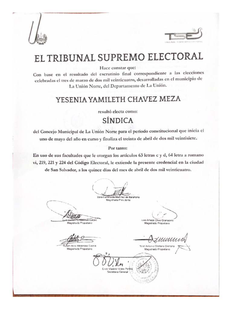 El Tribunal Supremo Electoral | PDF