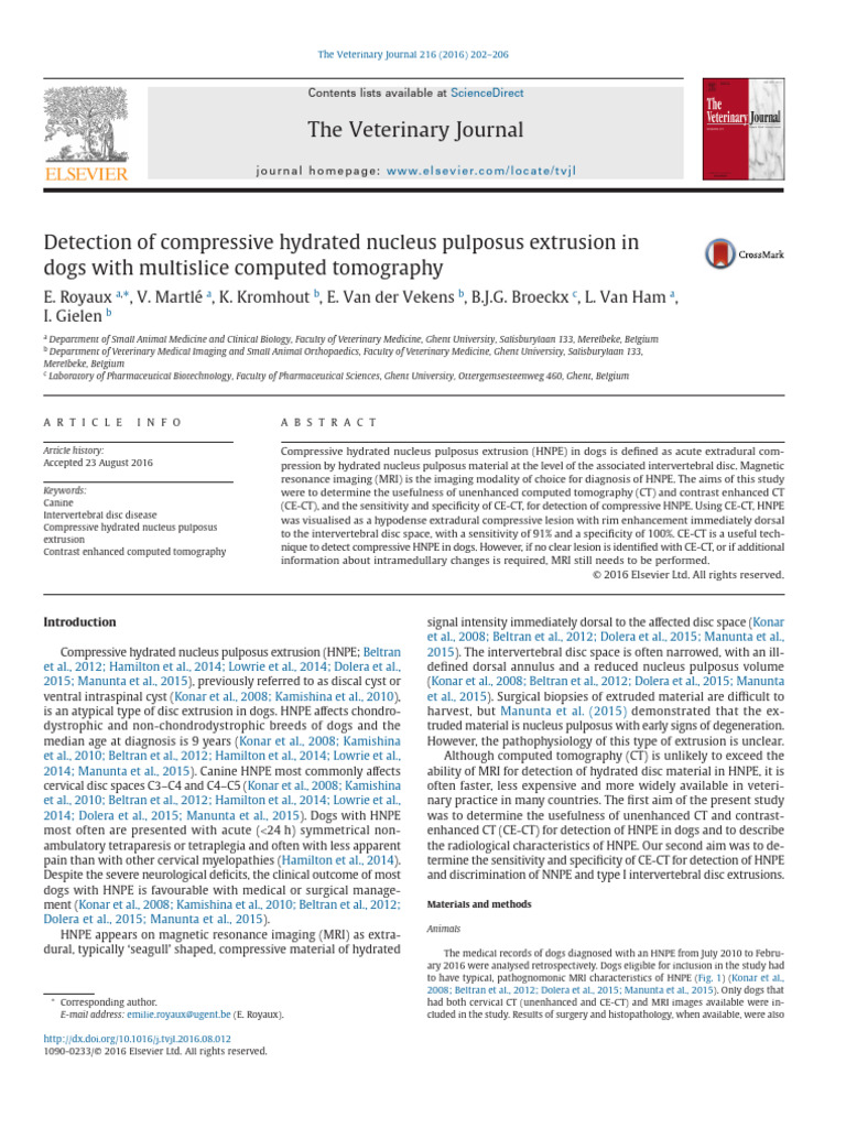 Detecting Nucleus Pulposus Extrusion in Dogs | PDF | Medical Imaging ...