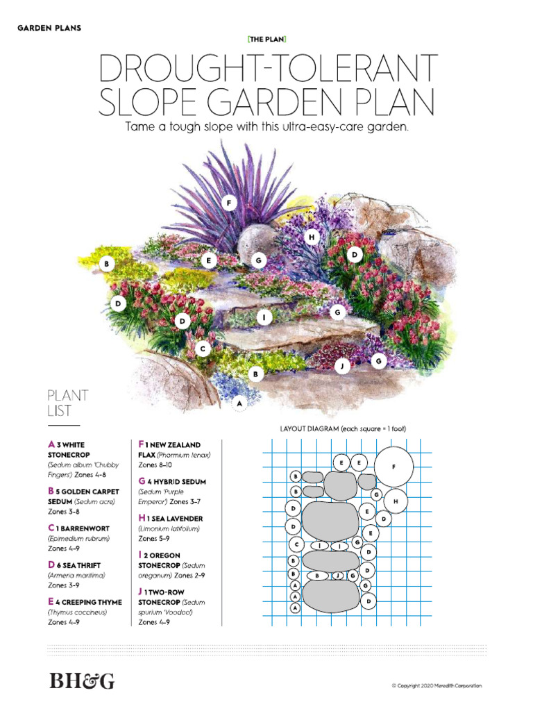 Drought Tolerant Slope | PDF
