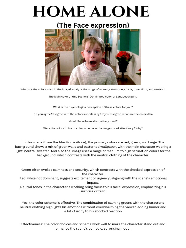 HOME ALONE (Face Expression - 20241112 - 233904 - 0000 | PDF | Language ...