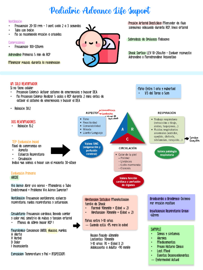PALS | PDF | Reanimación cardiopulmonar | Choque (circulatorio)
