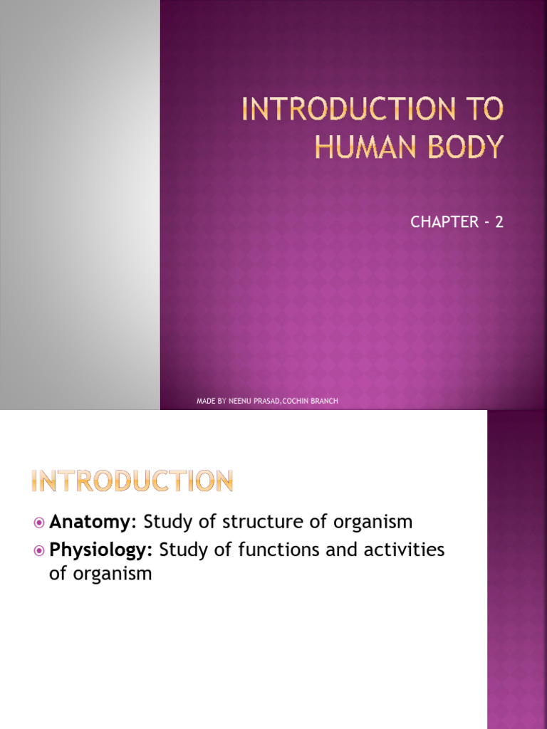 1.introduction To Human Body | PDF | Anatomical Terms Of Location ...