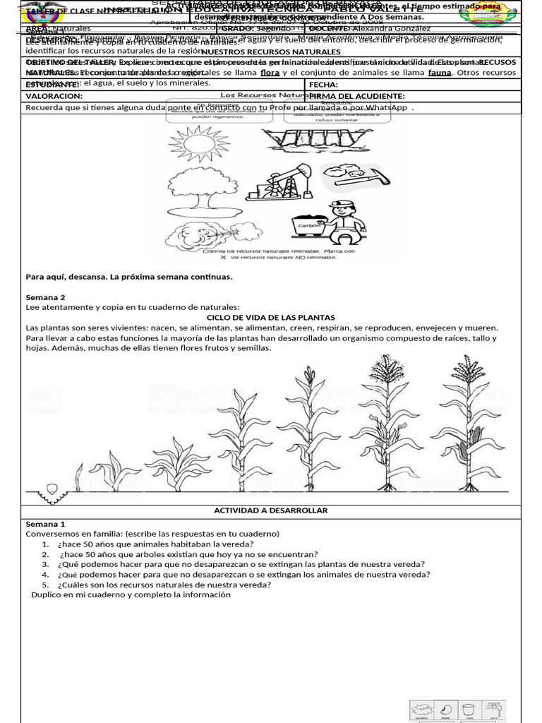 Actividades Naturales para Segundo Grado | PDF | Plantas | Fauna