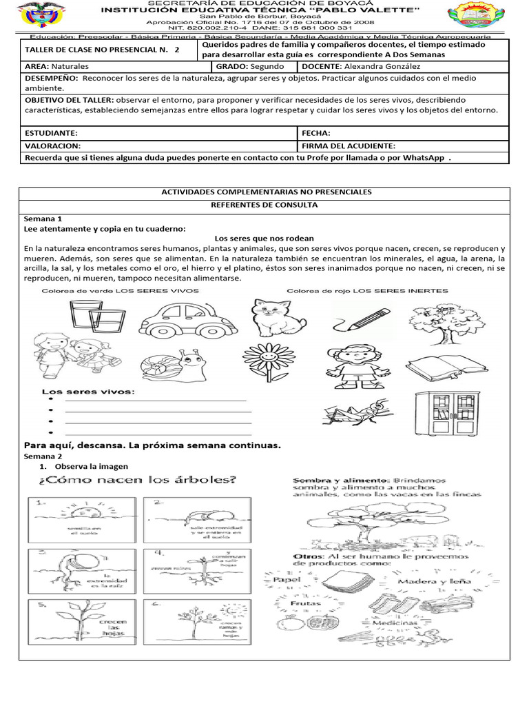 Taller de Naturales para Segundo Grado | PDF | Naturaleza | Humano