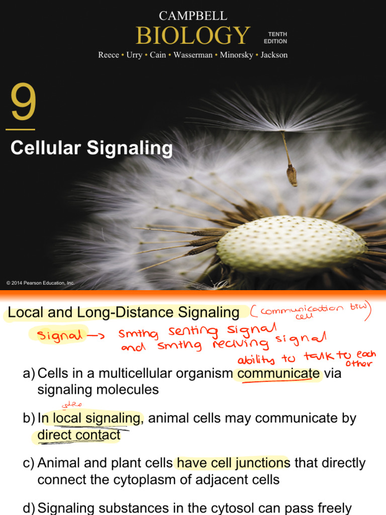 Chapter 5 - Cellular Signaling | PDF