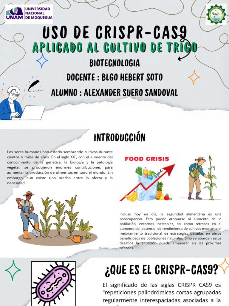 CRISPR-Cas9 en el Cultivo de Trigo | PDF | Virus | Ingeniería genética