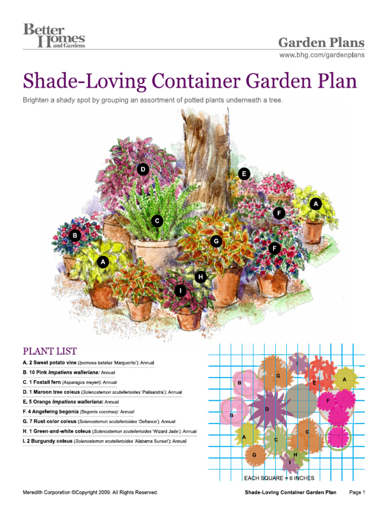 Shady Container | PDF