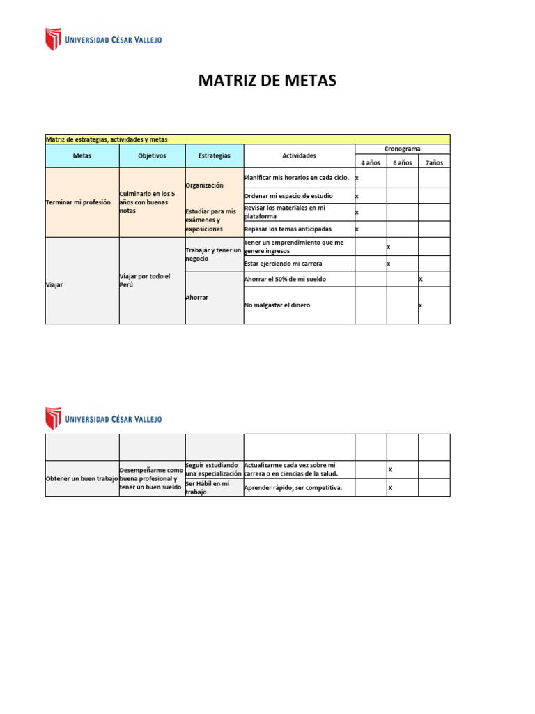 Matriz de Metas 13 | PDF