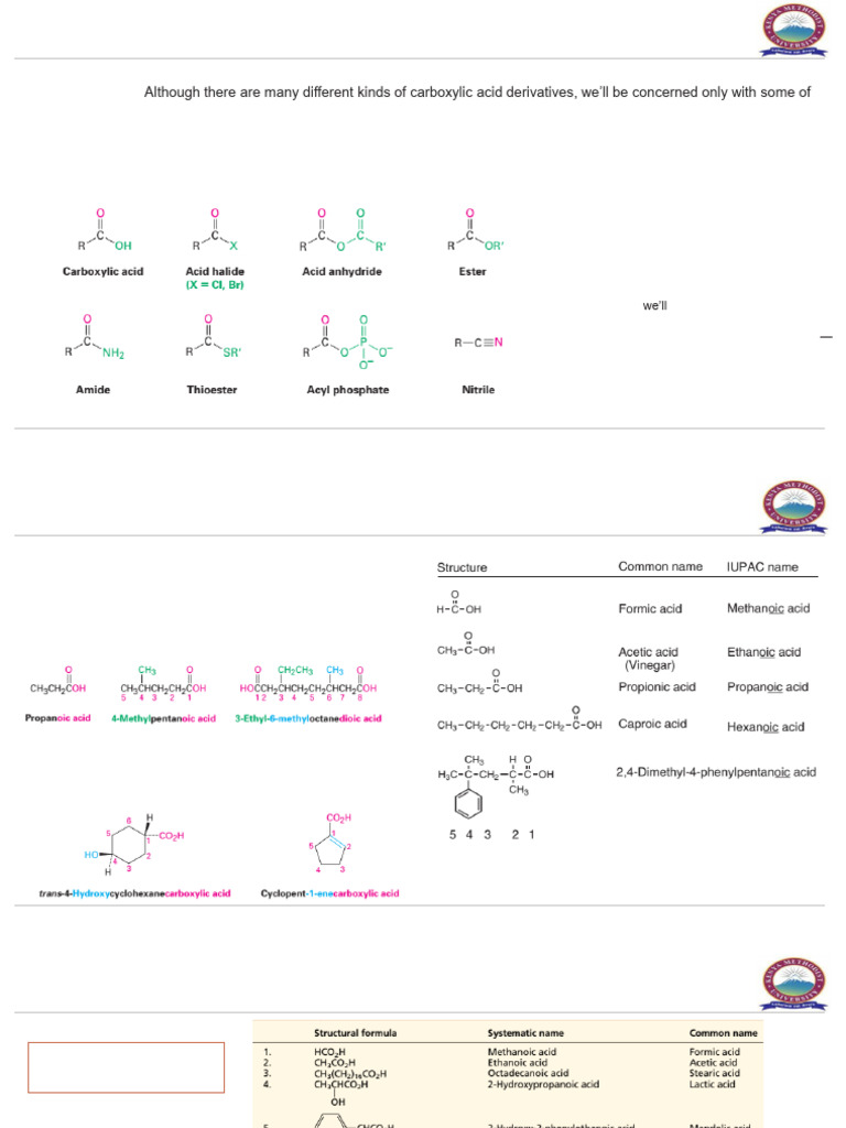 Lec 9 | PDF | Functional Group | Ester