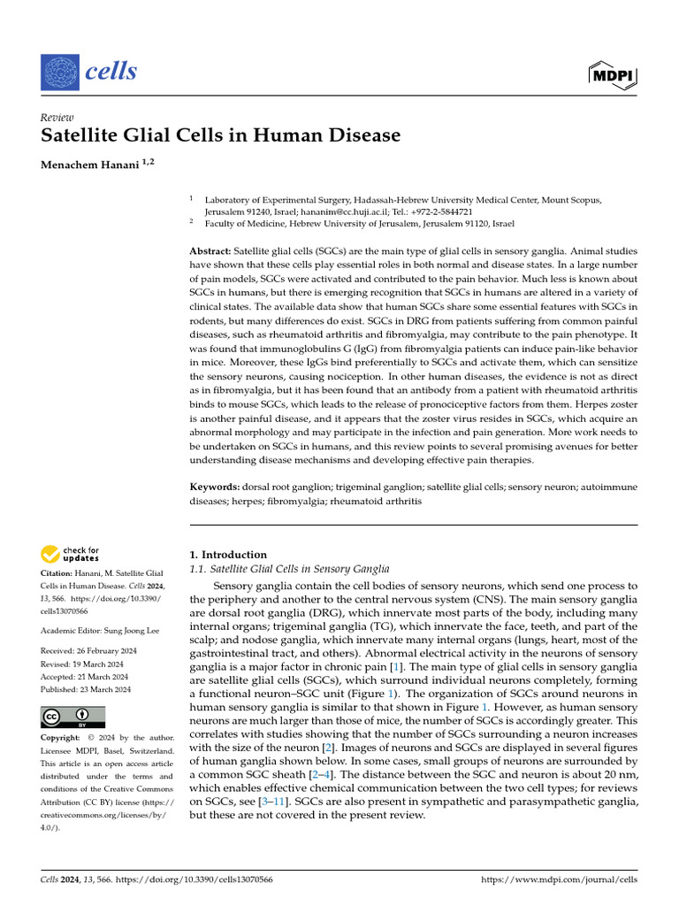 Cells 13 00566 v2 | PDF | Cell Biology | Nervous System