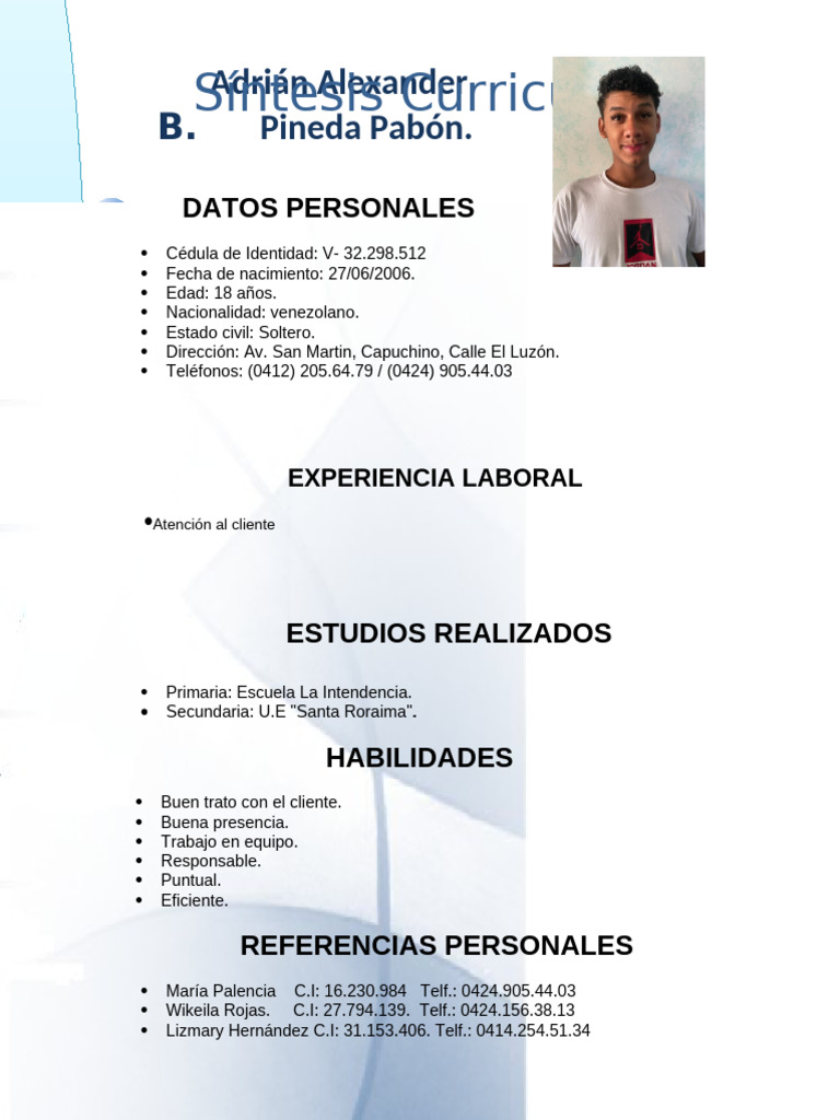 Currículum de Adrián Pineda Pabón | PDF