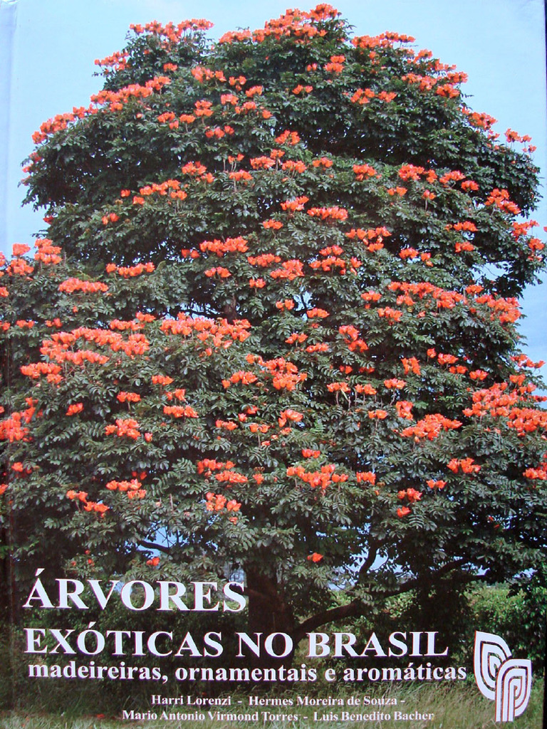 Árvores Exóticas | PDF