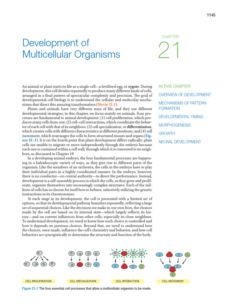 Chapter 21 Development of Multicellular Organisms | PDF | Cell ...