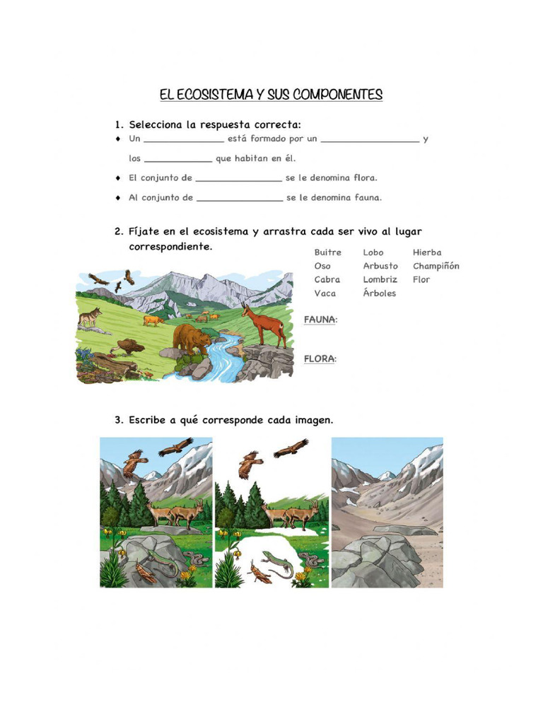 Ficha Practi Prime | PDF