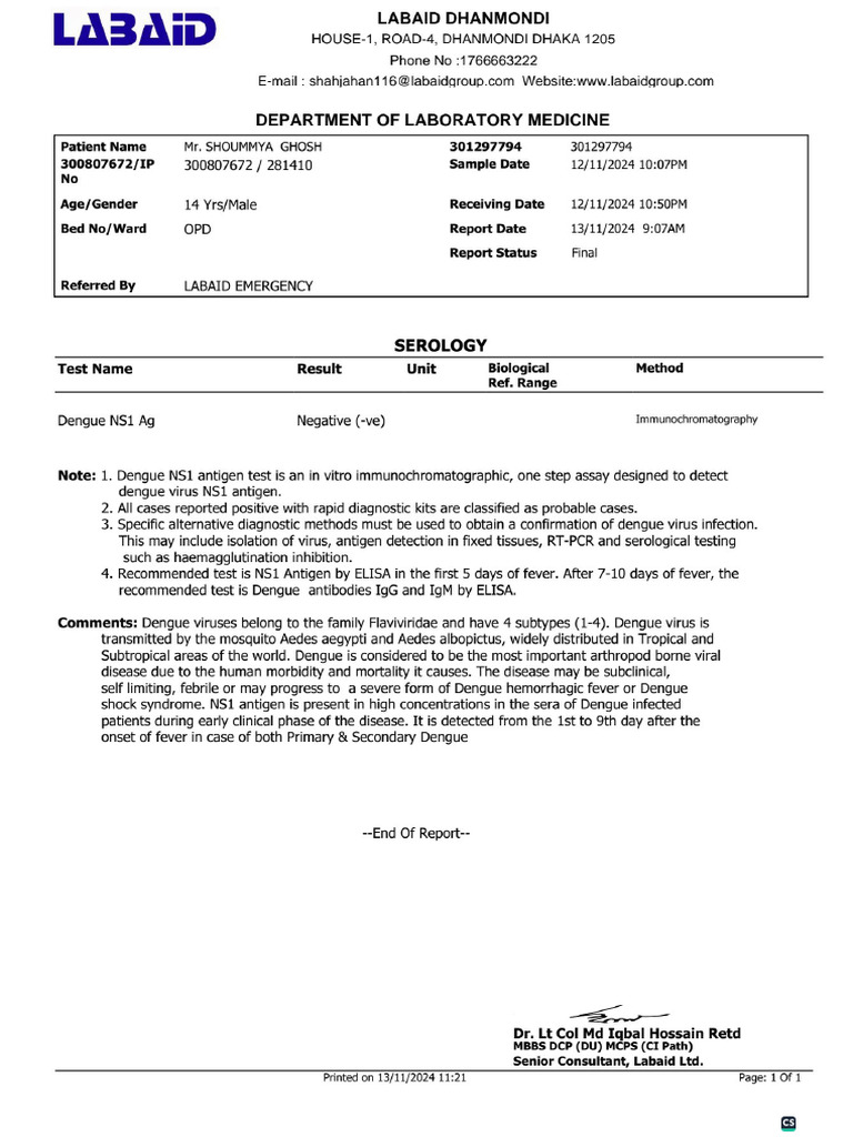 Investigation Report | PDF