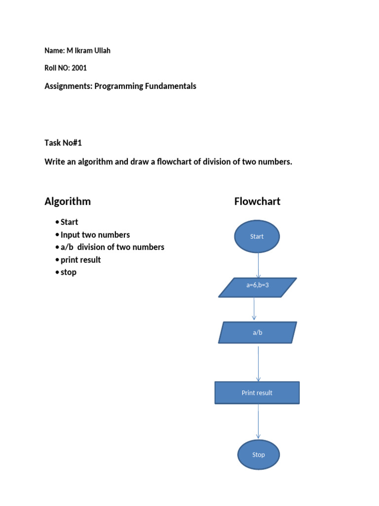 Programming Fundamentals Tasks | PDF