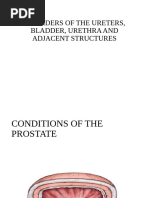 Proctoscope | PDF | Rectum | Clinical Medicine