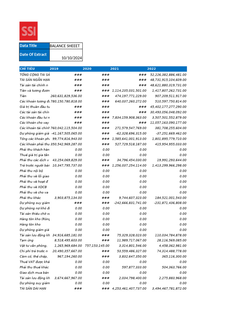 SSI SSI Financial Statement Balance Sheet 10102024 | PDF