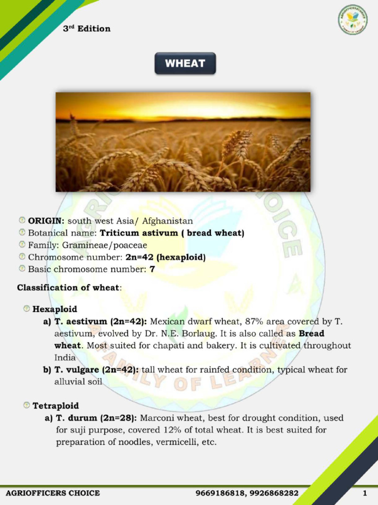 Wheat | PDF