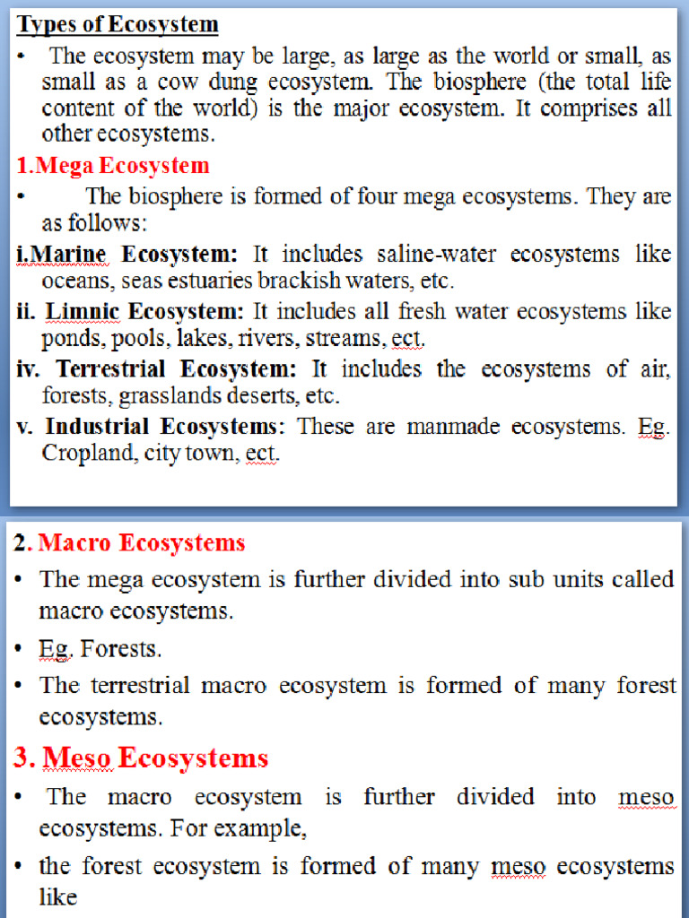 Evs-Types of Ecosystem PDF PNG | PDF