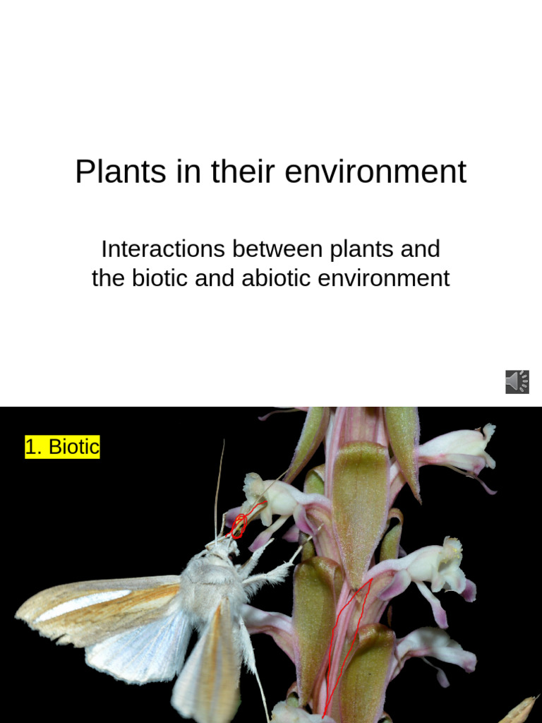 Plant Interactions With Biotic Environment Narrated Slides 2024 | PDF ...