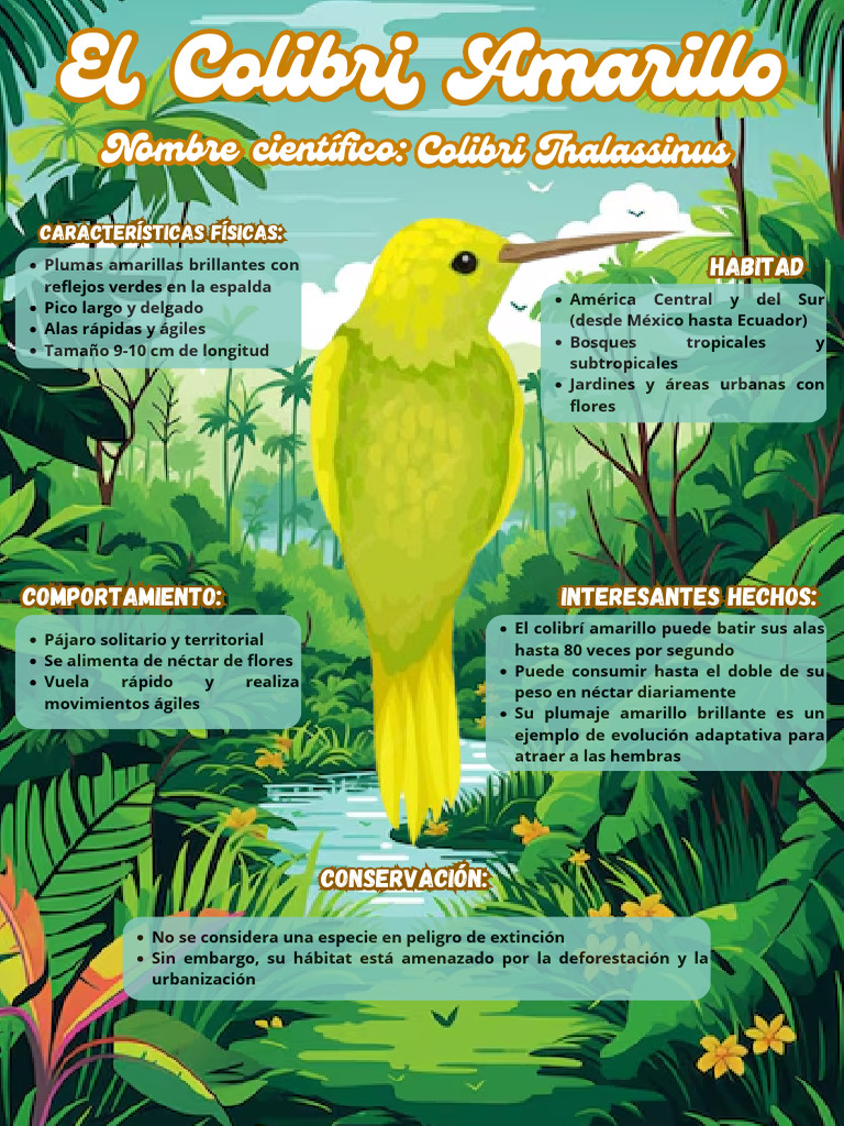 Características del Colibrí Amarillo | PDF