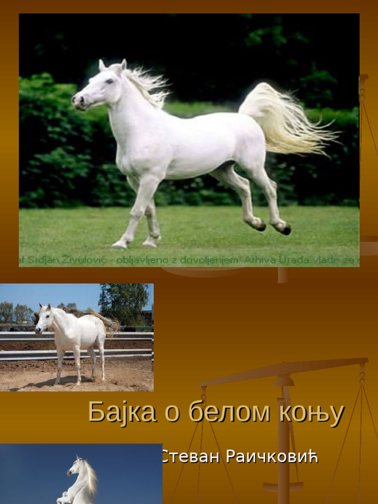 Bajka o Bijelom Konju | PDF