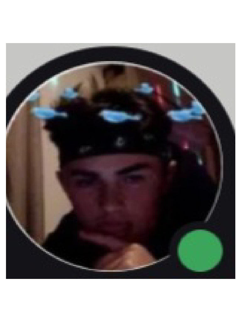 Jacoblaneroblox149315 Discord Profile | PDF