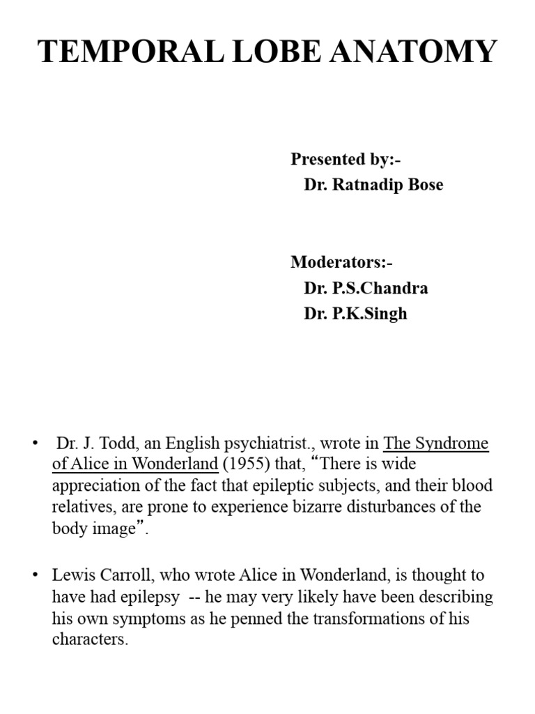 Temporal Lobe Anatomy | PDF | Temporal Lobe | Cerebral Cortex