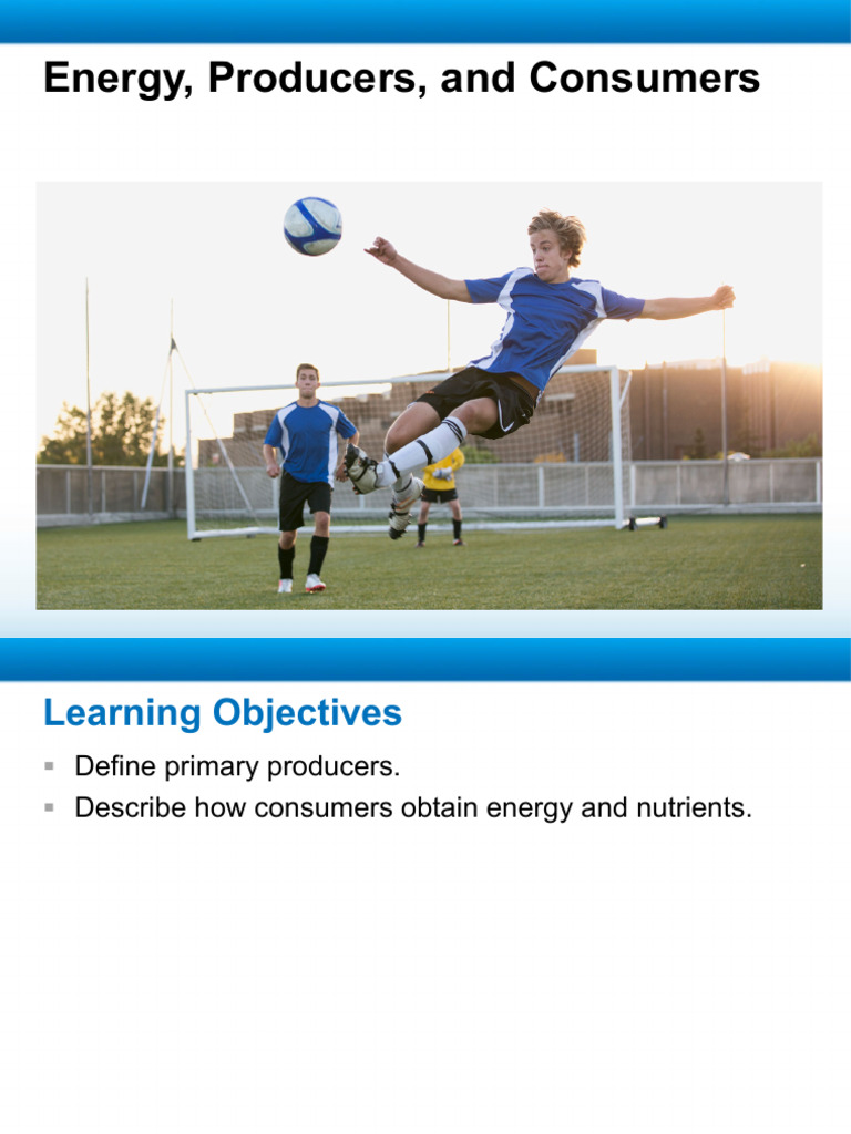 C4L1 - Energy, Producers and Consumers Presentation | PDF | Wellness | Technology & Engineering