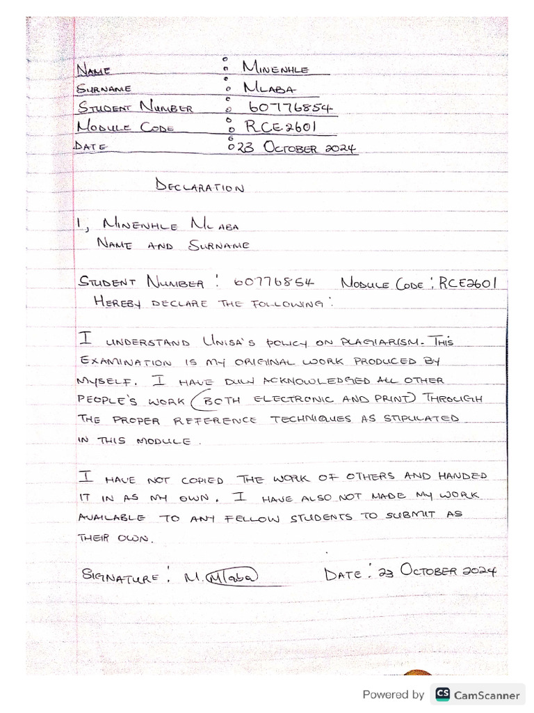 Rce2601 Examination | PDF