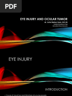 Types and Prevention of Eye Injuries | PDF | Cornea | Eye