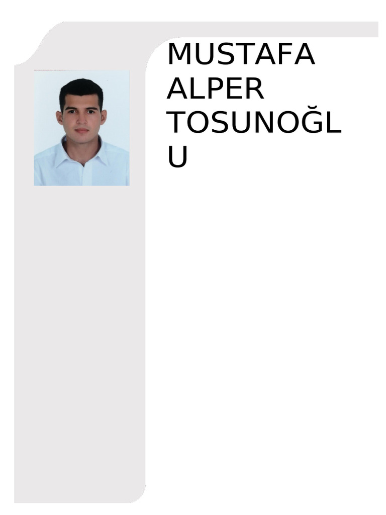 Mustafa CV 1 | PDF