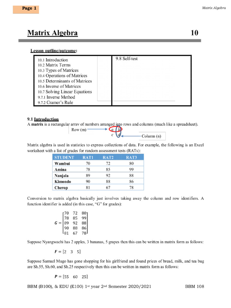 Matrix Algebra | PDF