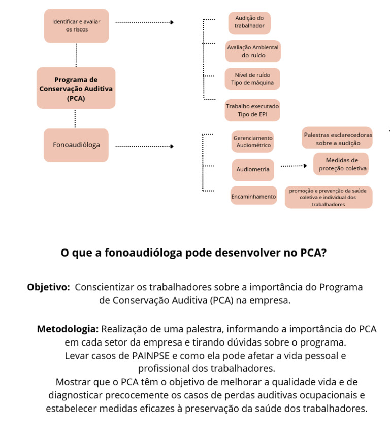 Novo Mapa Mental PCA | PDF