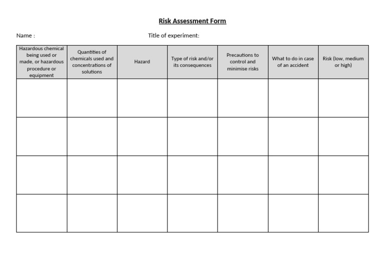 Risk Assessment Form | PDF