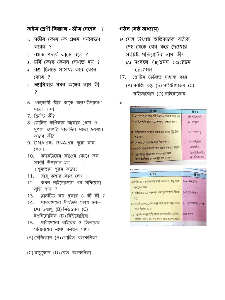 Class 8 Test 1 | PDF