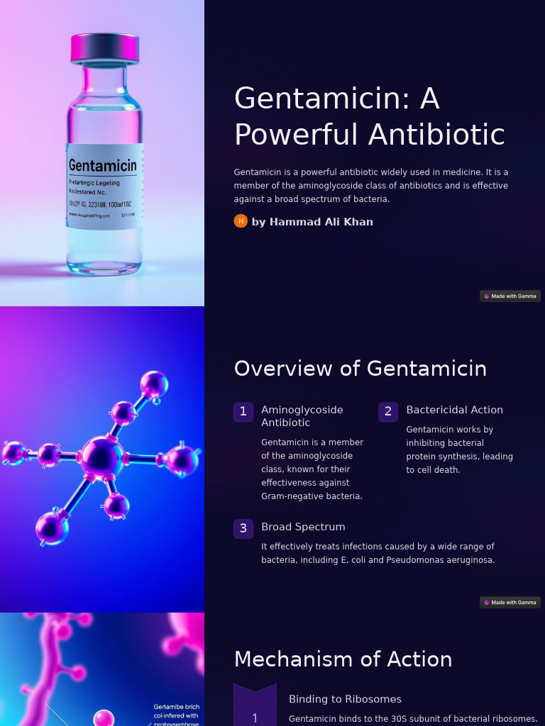 Gentamicin A Powerful Antibiotic | PDF | Antibiotics | Health Sciences