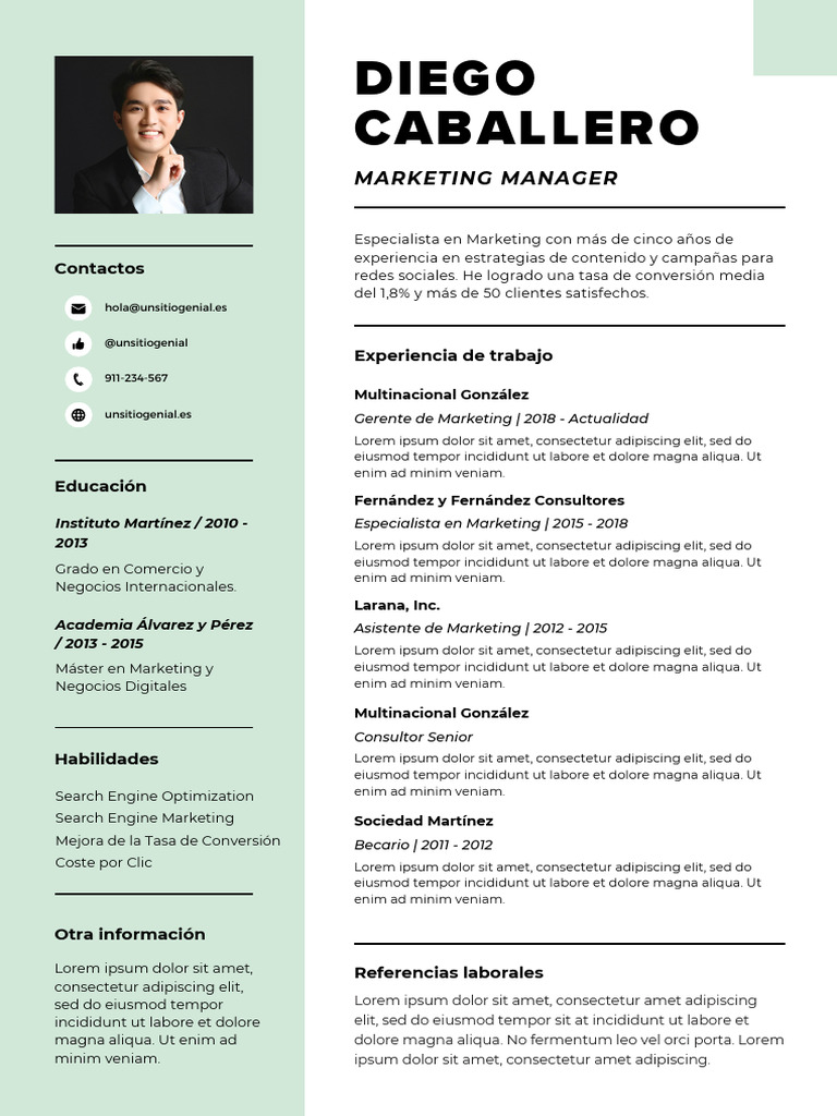 Formato CV Tradicional Con Foto | PDF | Marketing | Sector privado