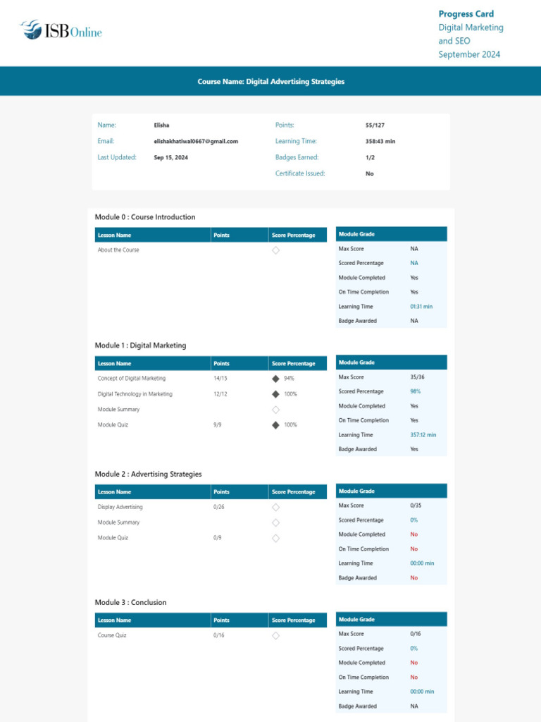 Elisha - Digital Advertising Strategies - Progress - Card | PDF