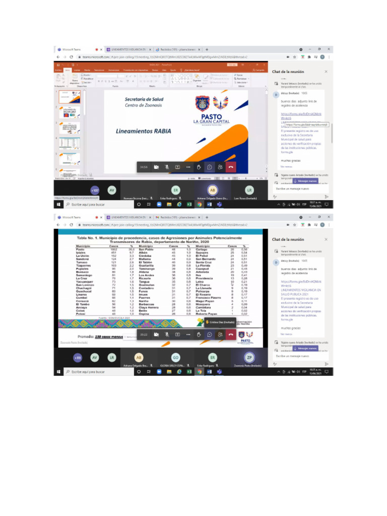 CAPACITACION RABIA | PDF
